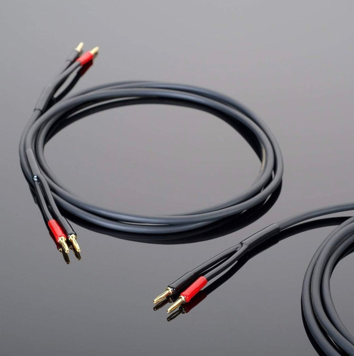Speaker Cables – Tweak Technologies
