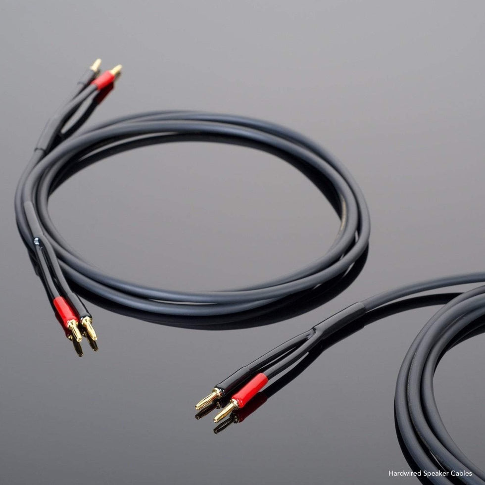Transparent Hardwired Speaker Cables – Tweak Technologies